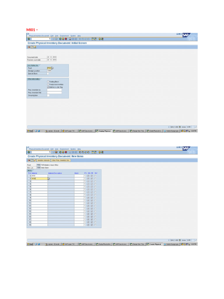 Physical Inventory Settings | PDF