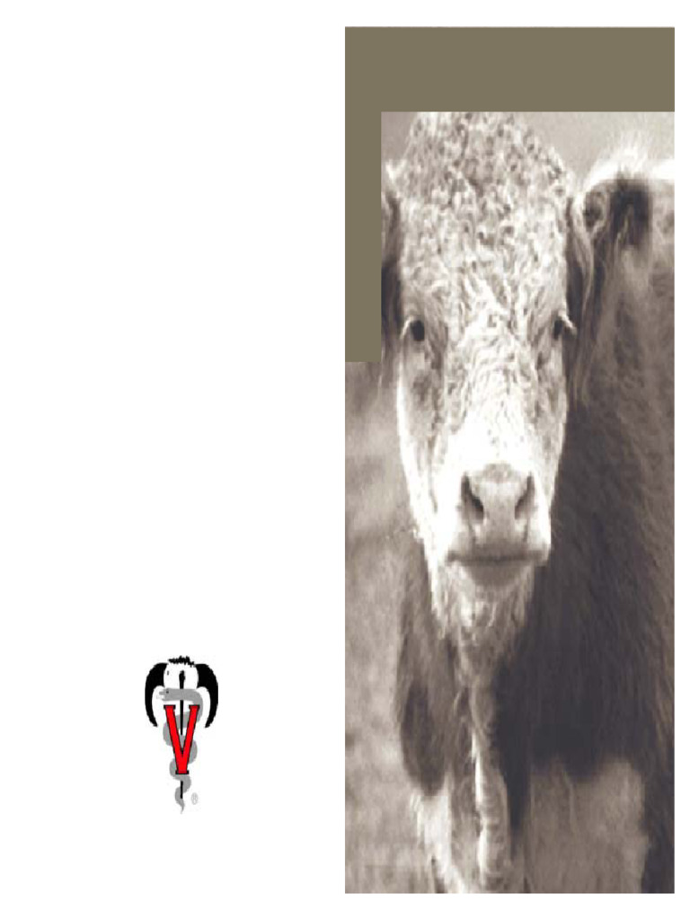 Euthanasia Aabpfinal Color | PDF