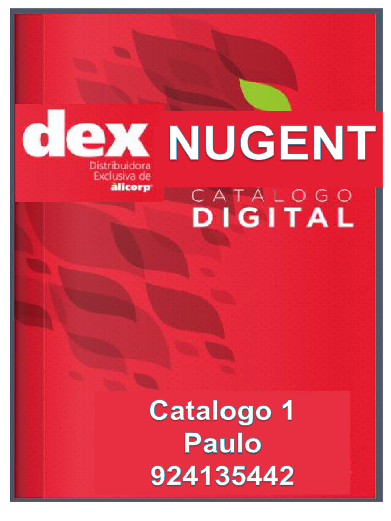 Catalogo 1 Paulo | PDF