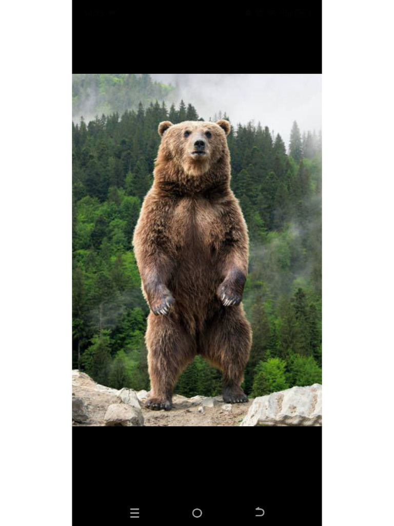 Image To PDF 26 Dic 2024 3 | PDF