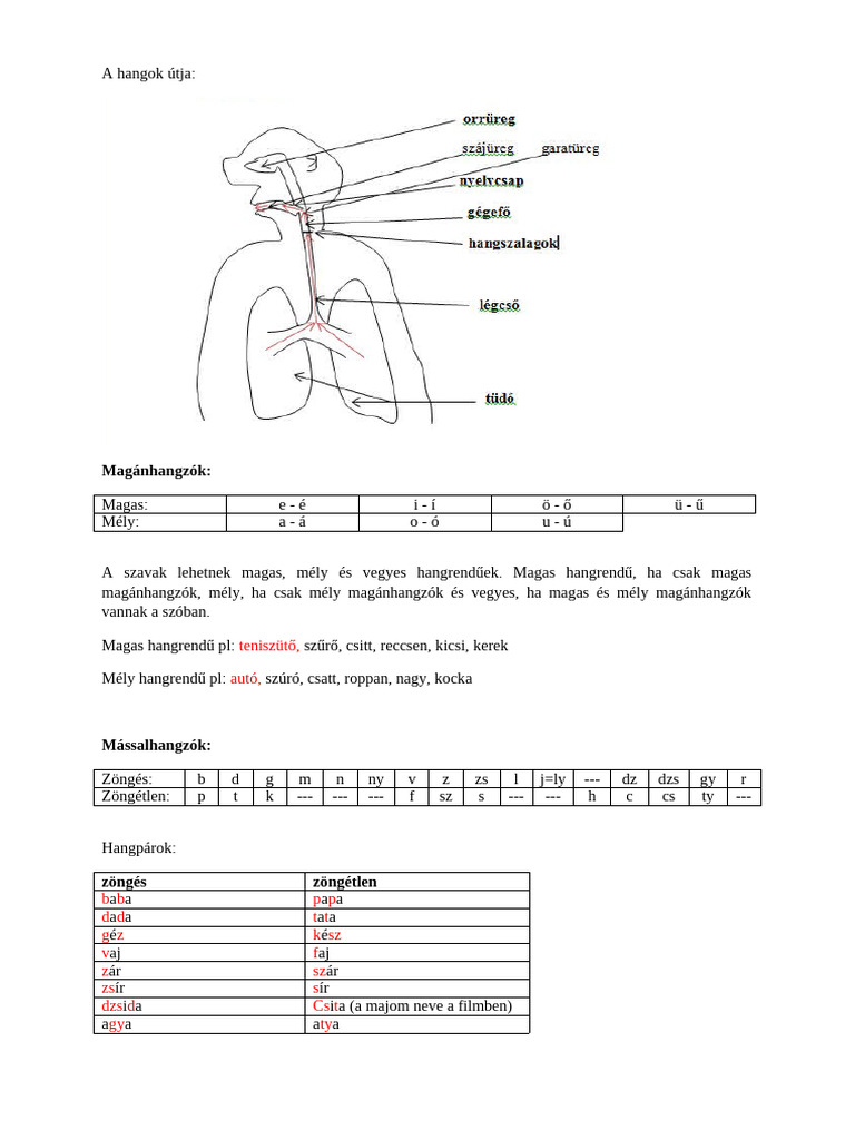 Nyelvtan - Magánhangzó, Mássalhangzó | PDF