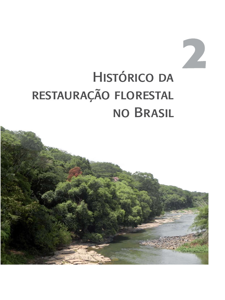 Restauração Florestal no Brasil: História e Desafios | PDF | Ecologia ...