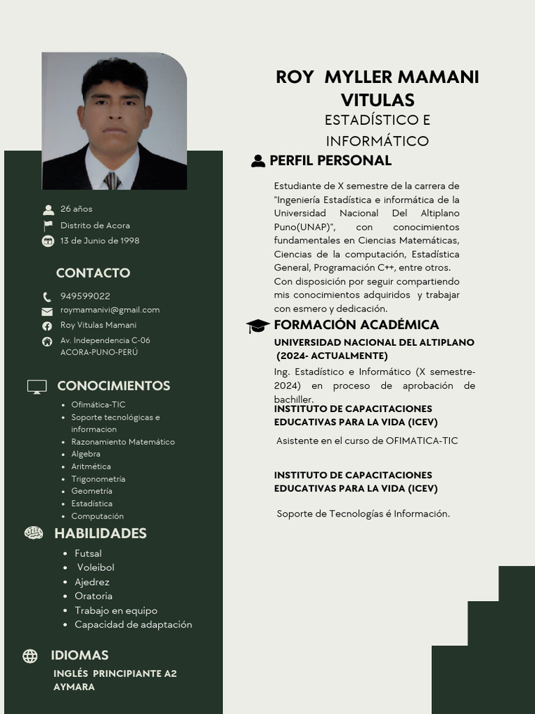 Perfil Profesional de Roy Vitulas Mamani | PDF | Informática | Science