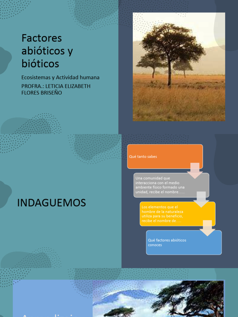 Factores Abi-Ticos y Bi-Ticos | PDF | Agua | Tierra