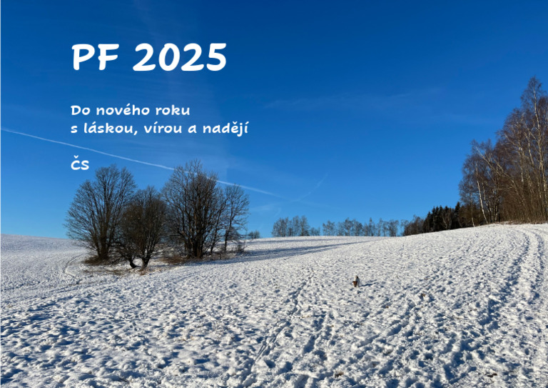 PF 2025 | PDF