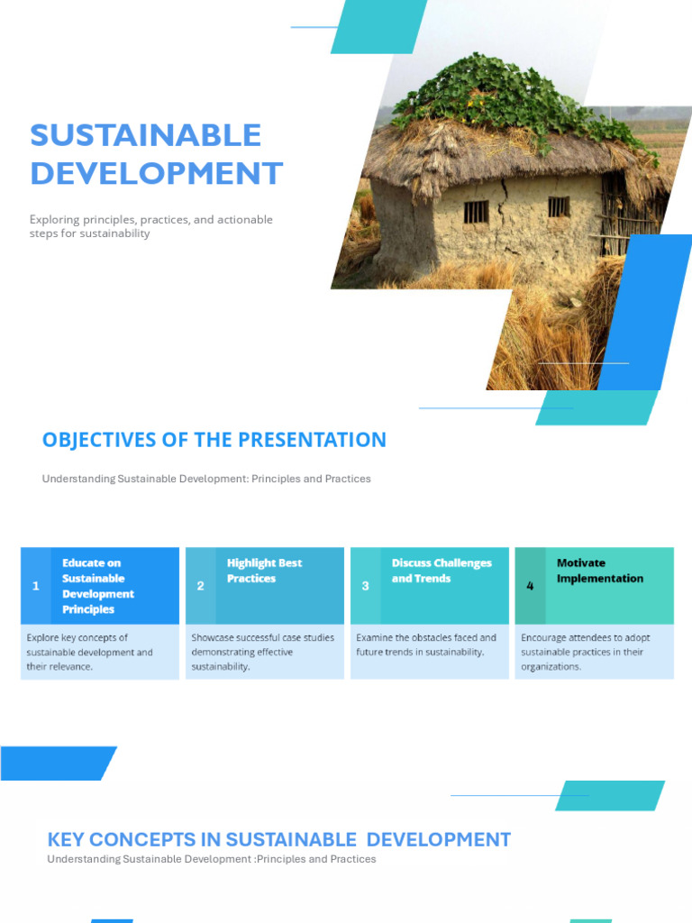 Sustainable Development Humanities Week Project - Parth Parashar | PDF