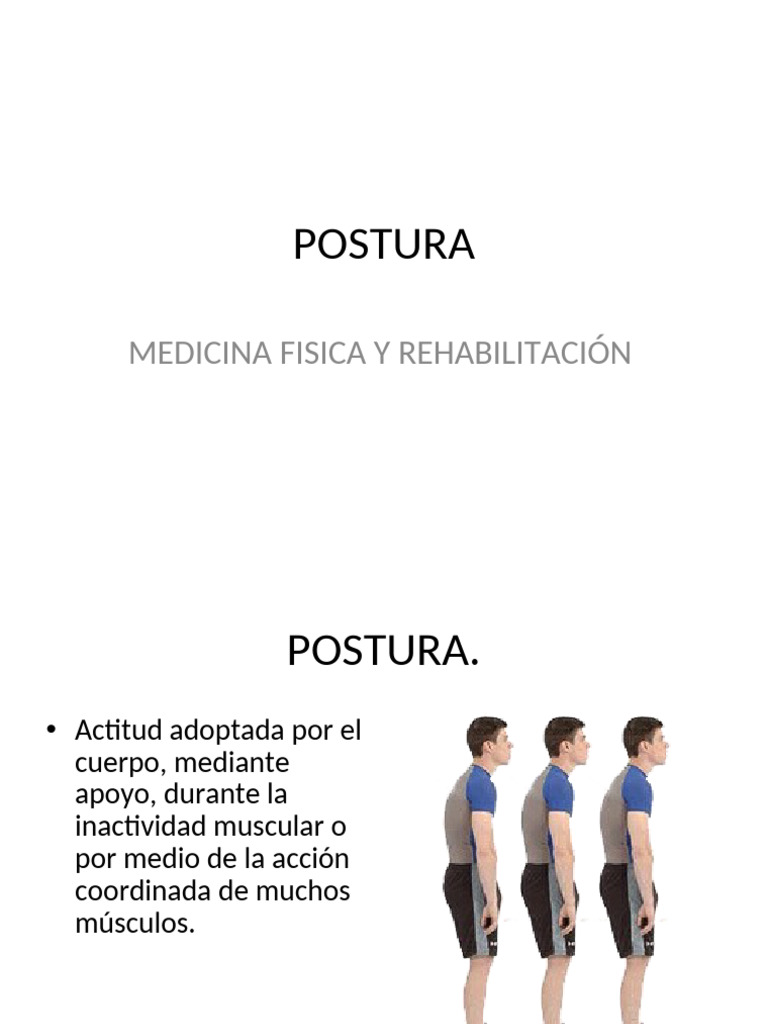 Tipos y Beneficios de la Postura Correcta | PDF | Pelvis | Almohada