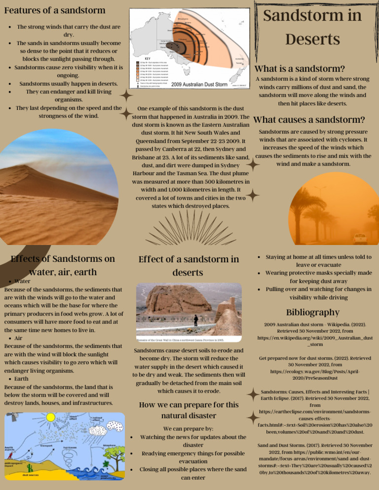 Science Sandstorm.pdf | PDF | Wound | Desert