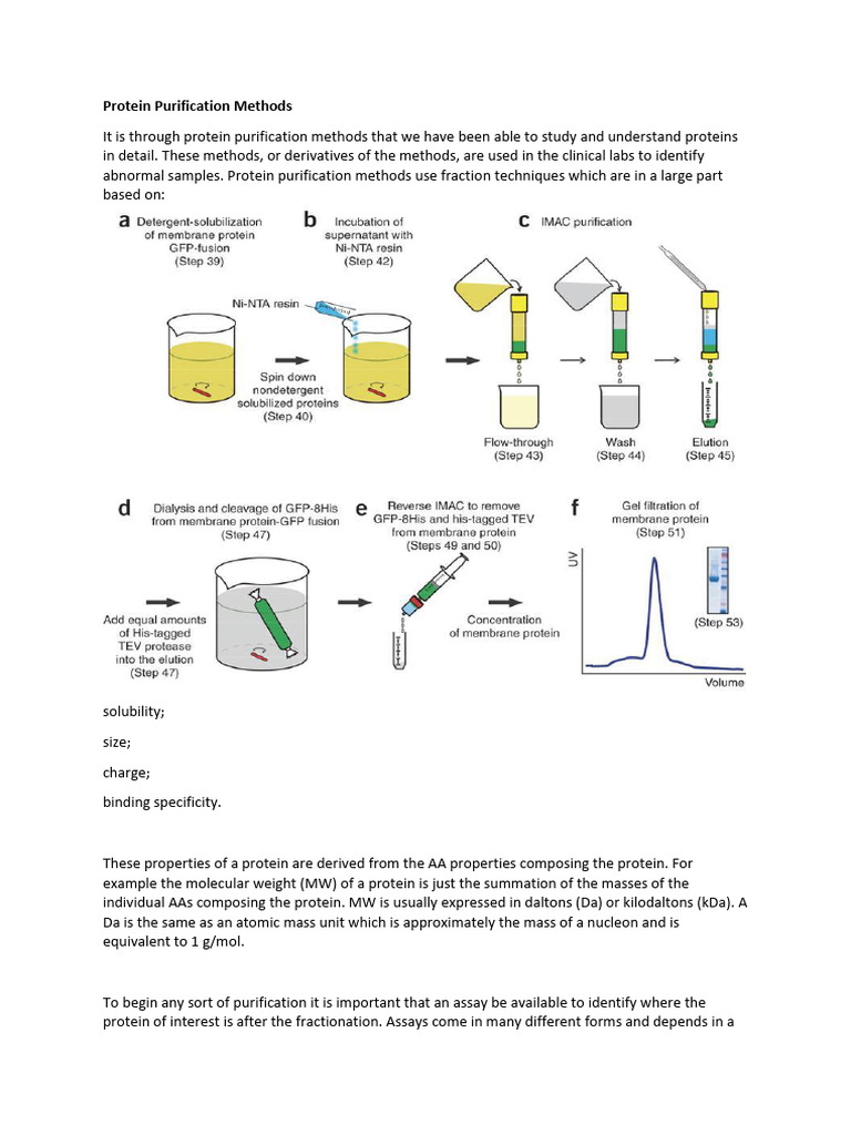 Methods of Protein Purification | PDF | Gel Electrophoresis | Polyacrylamide Gel Electrophoresis