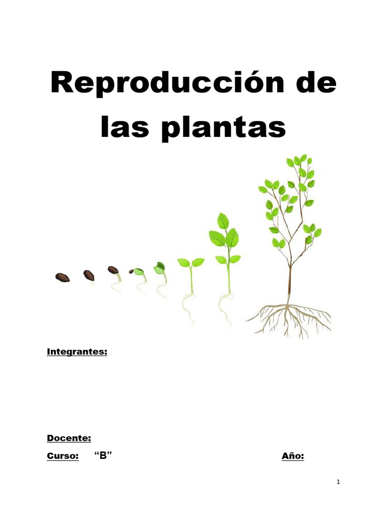 Reproducción de Las Plantas | PDF | Flores | Reproducción
