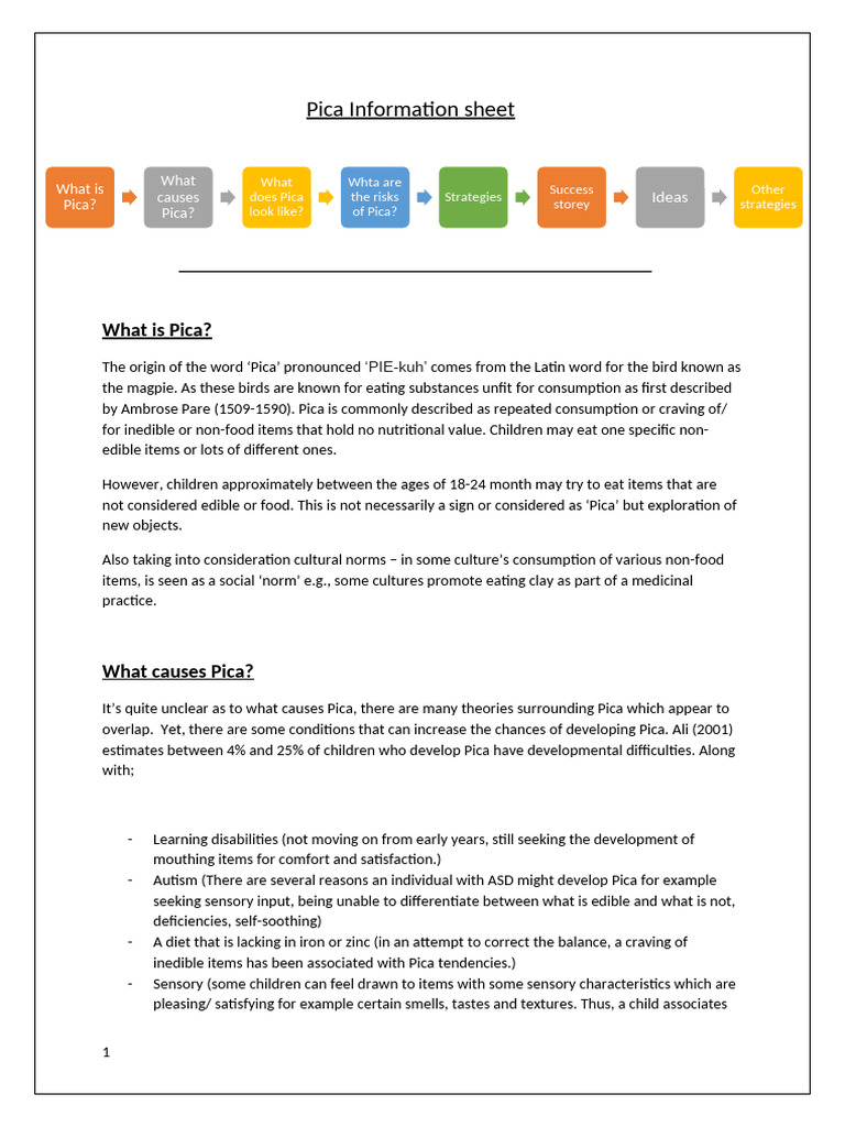 Pica Information Sheet | PDF