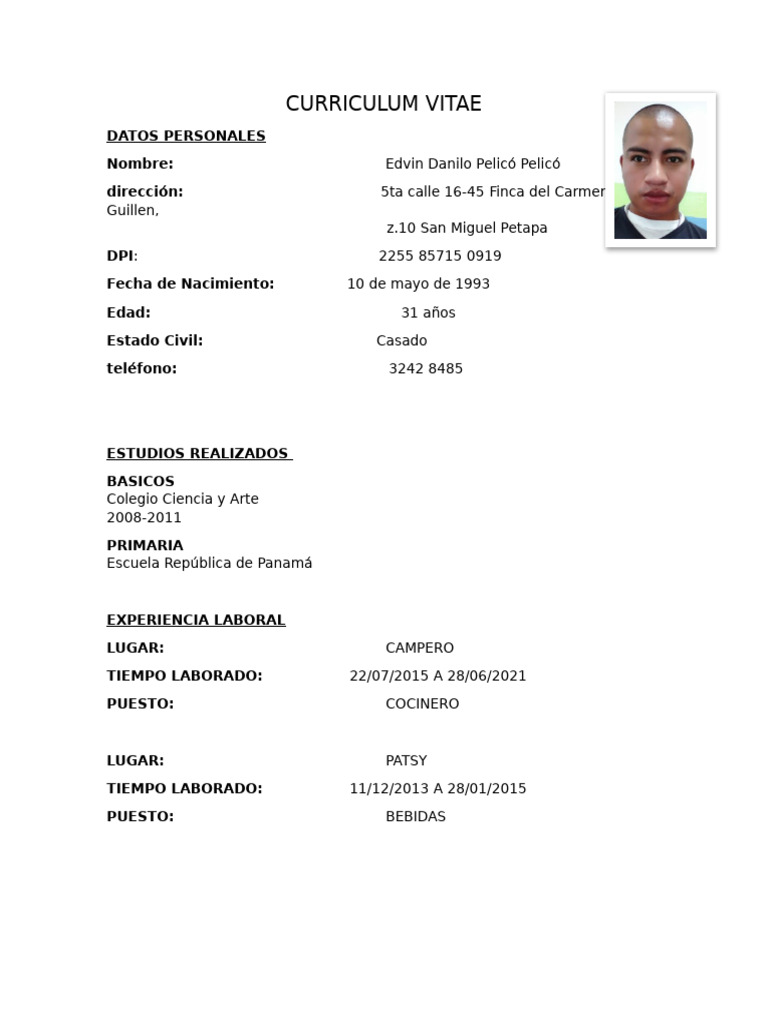 Curriculum Actualizado 1 | PDF