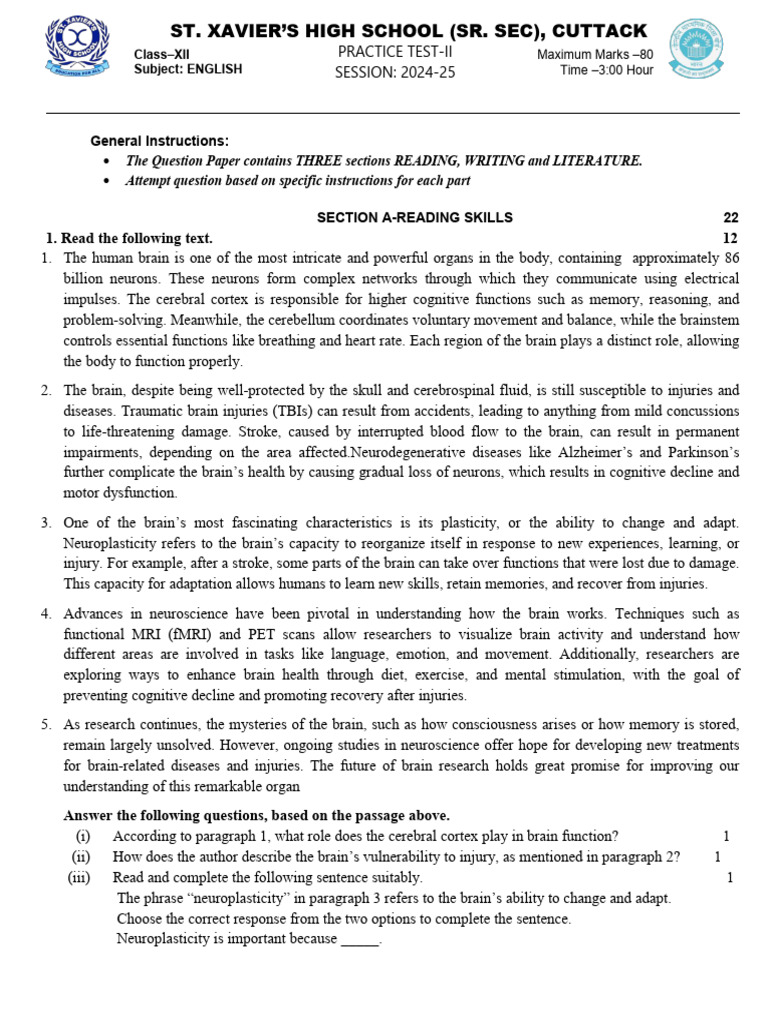 Practice Paper Std Xii English | PDF | Brain | Neuroplasticity