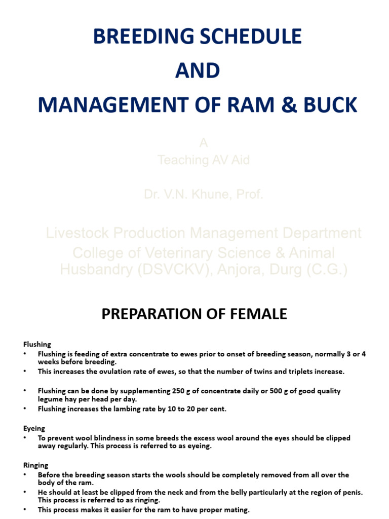 9. Breeding schedule & management of Ram & buck | PDF | Sheep | Sexual ...