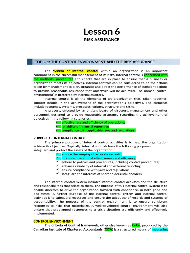 Risk Management Lesson 6 | PDF | Internal Control | Internal Audit