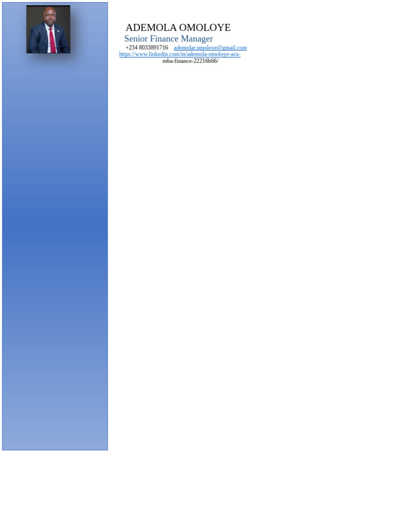 New Cv Template | PDF | Internal Control | Financial Statement