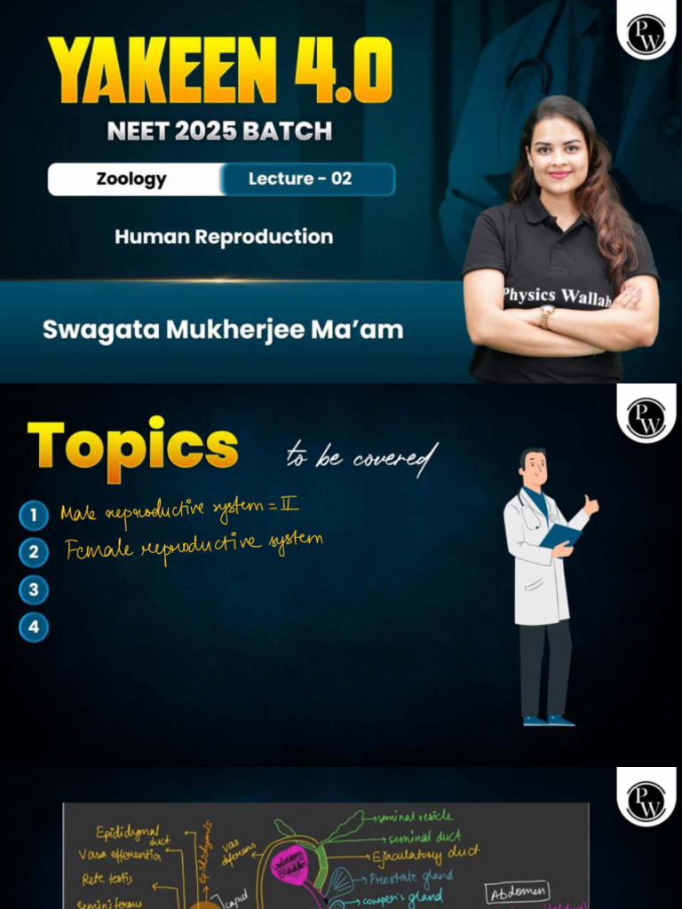 Human Reproduction 02 Class Notes Yakeen NEET 4.0 2025 | PDF