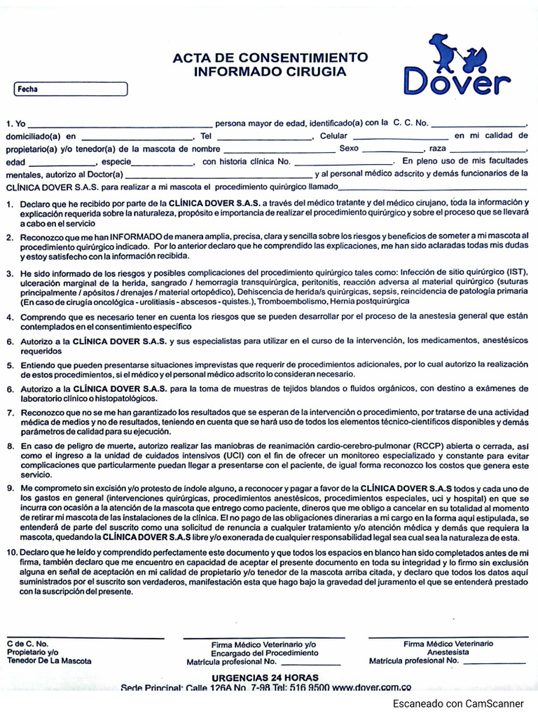 Consentimientos Informados | PDF