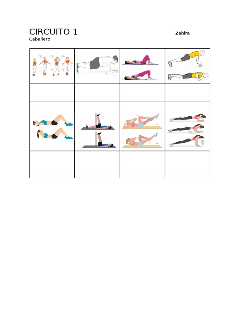 Circuito 1 ZCP | PDF