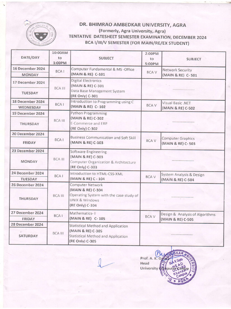 DBRAU BCA 3rd Semester Syllabus 2024 | PDF | Engineering | Software ...