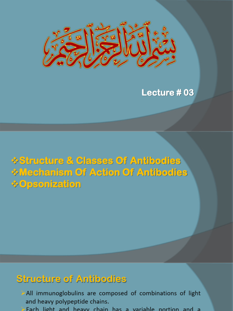 Lecture 03 Immunity 2024 | PDF | Antibody | Complement System
