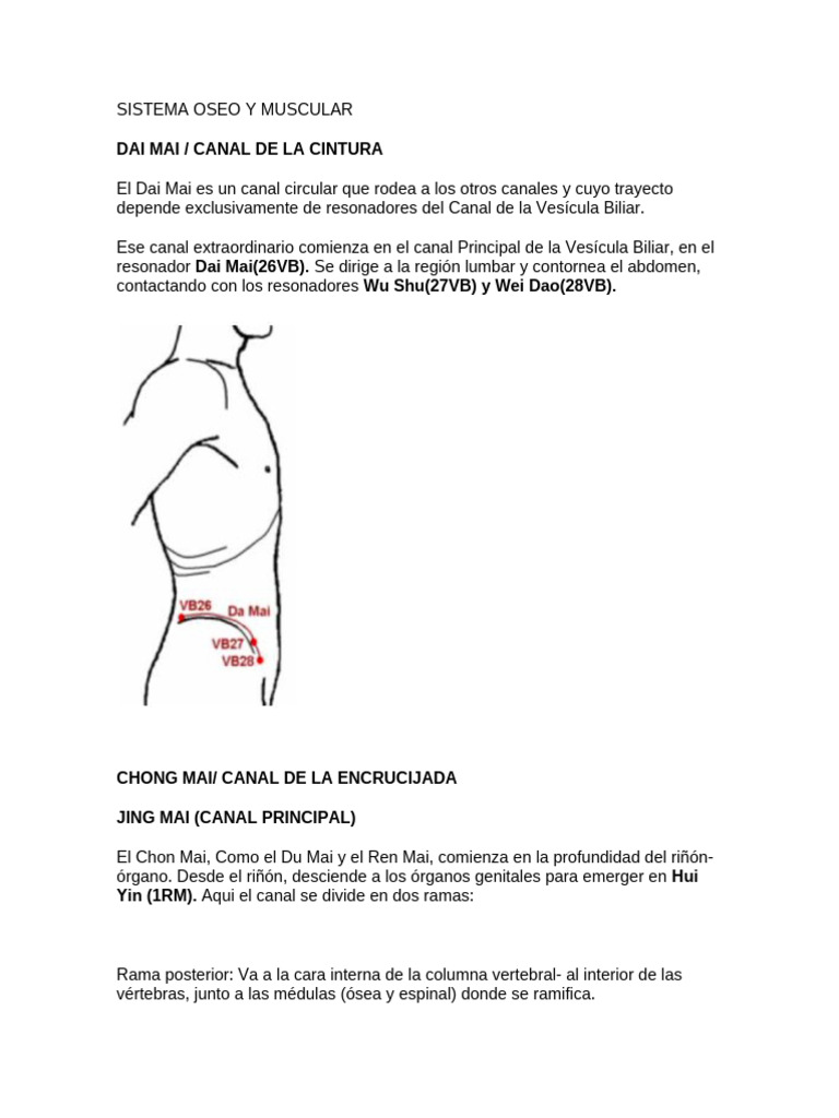 Sistema Oseo y Muscular | PDF | Articulación | Hueso