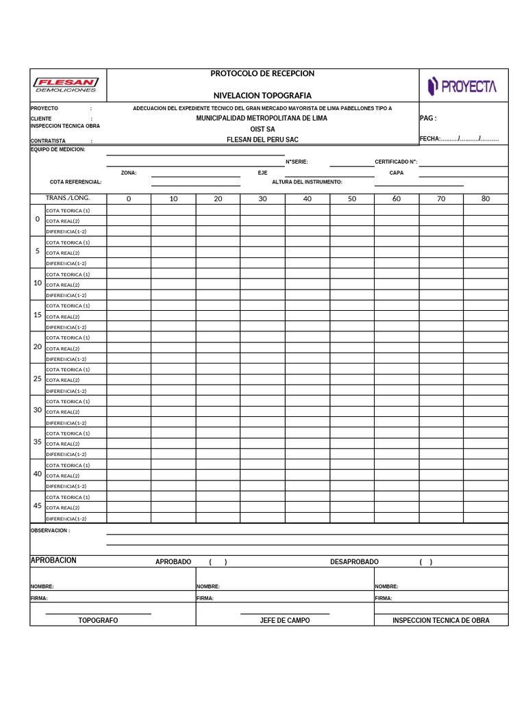 FORMATO Protocolos - MEGAPLAZA | PDF
