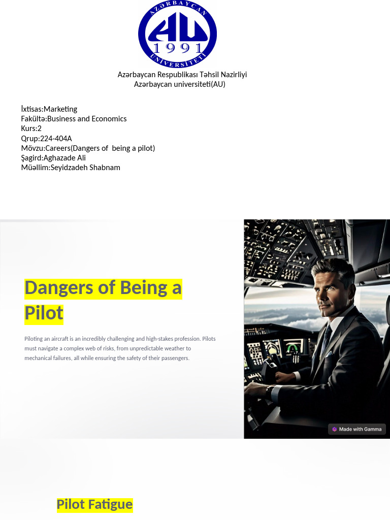 Dangers-of-Being-a-Pilot | PDF | Aircraft | Risk