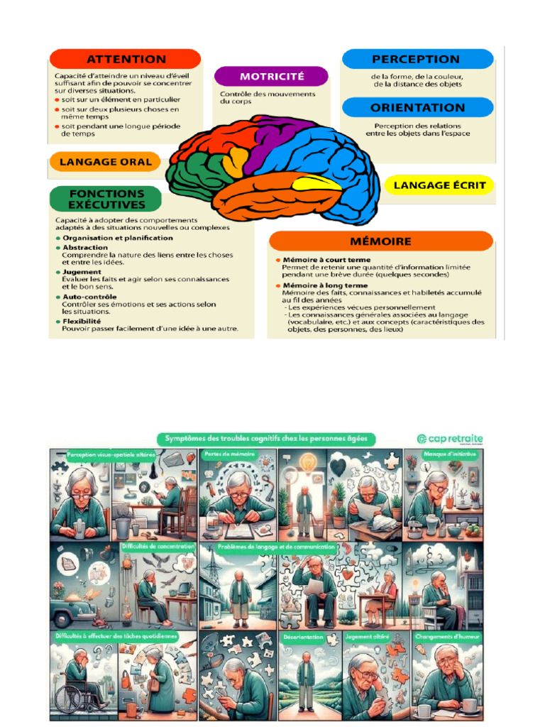 Les Fonctions Cognitives | PDF