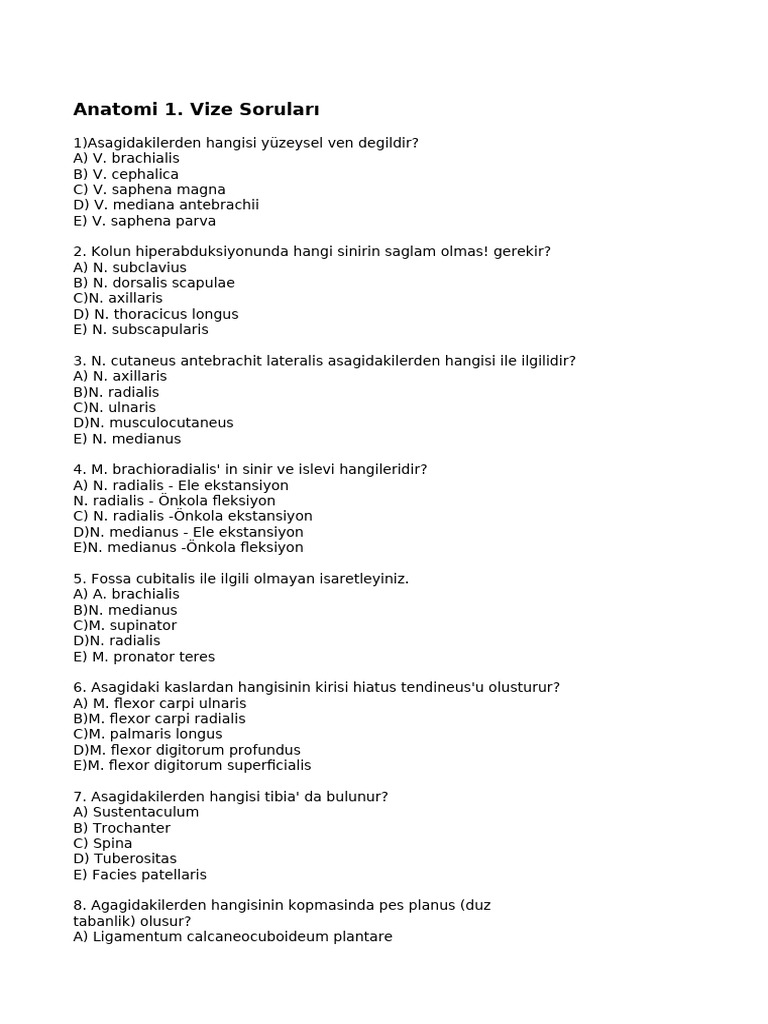Anatomi 1. Vize Soruları | PDF