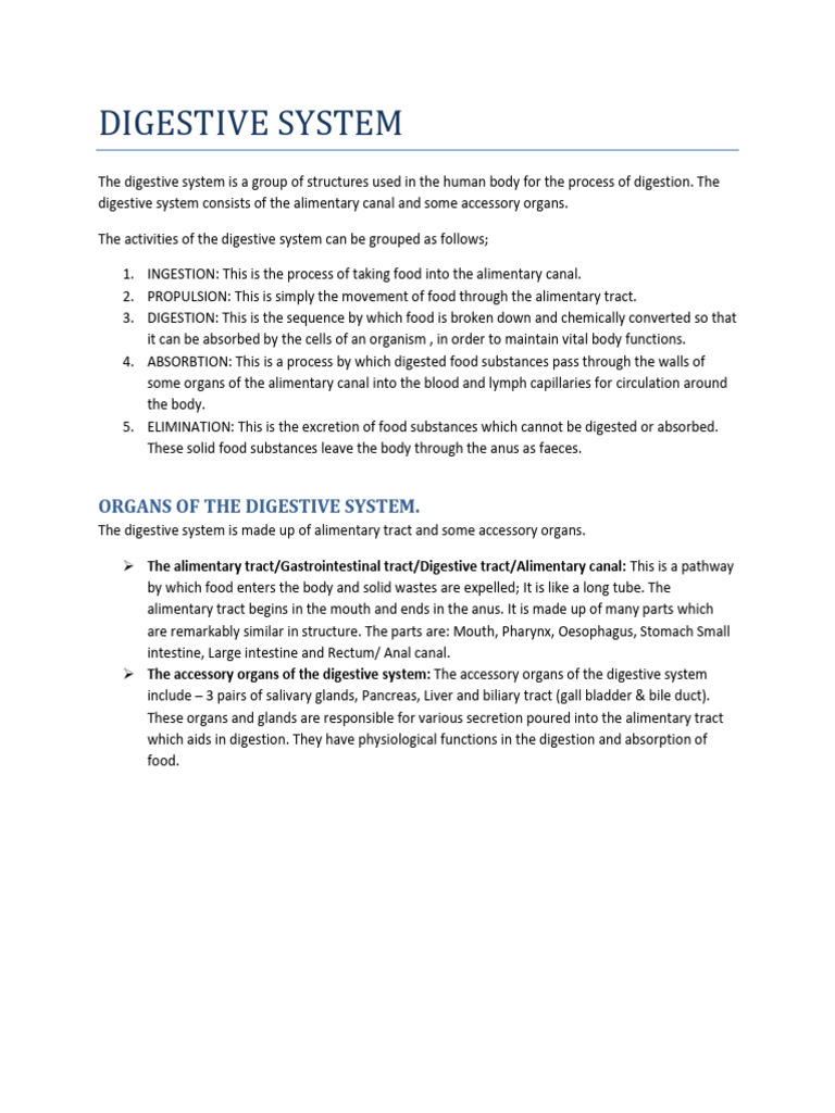 DIGESTIVE SYSTEM (INTRO) | PDF | Gastrointestinal Tract | Human ...