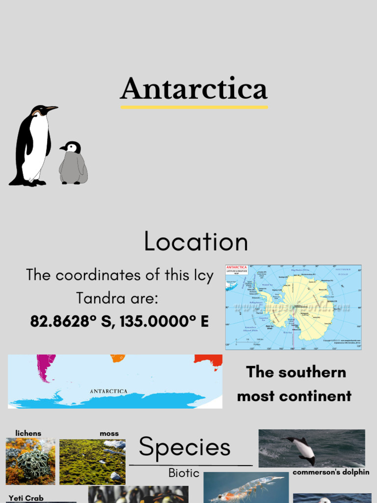 Antarctic Wildlife Overview | PDF