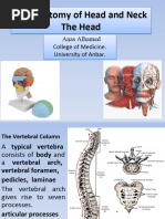 Extraoral Anatomical Landmarks Guide | PDF | Skull | Human Head And Neck
