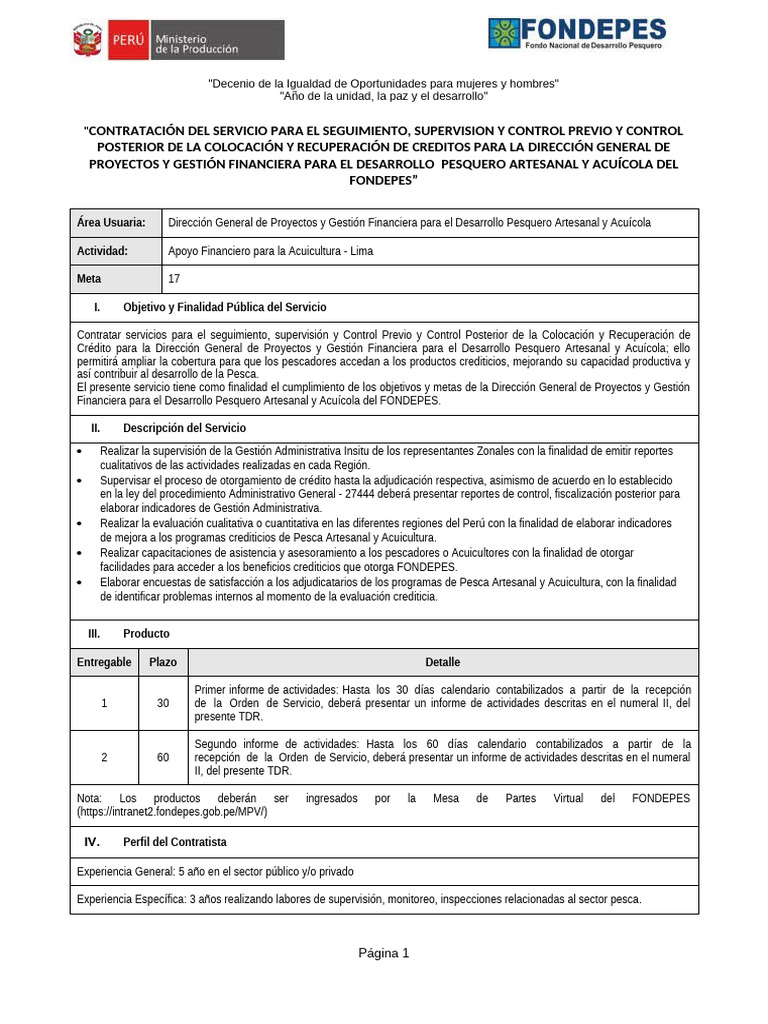 TDR_ok (1) | PDF | Corrupción política | Soborno