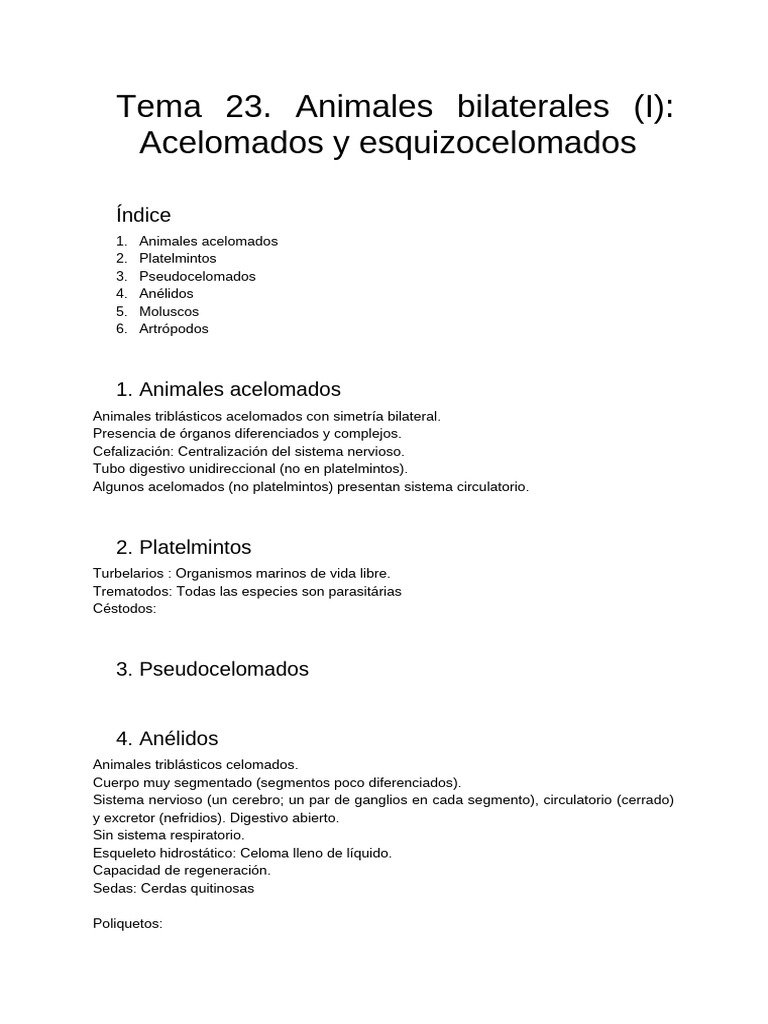 Tema 23. Animales Bilaterales (I) - Acelomados y Esquizocelomados | PDF ...