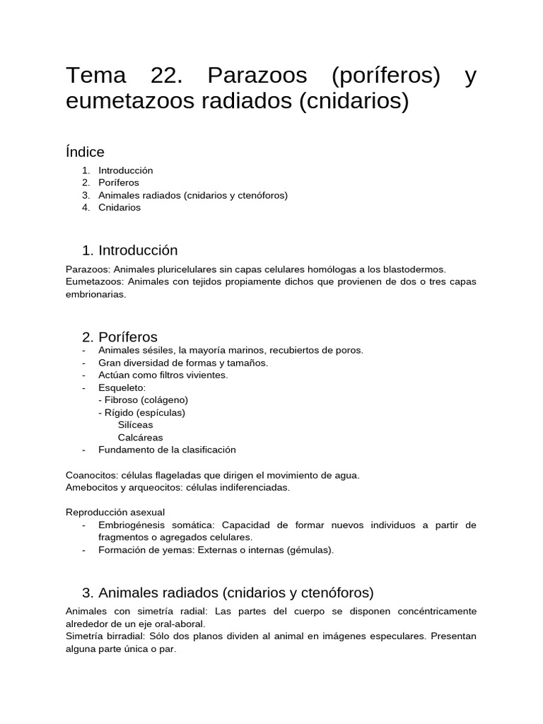 Tema 22. Parazoos (Poríferos) y Eumetazoos Radiados (Cnidarios) | PDF