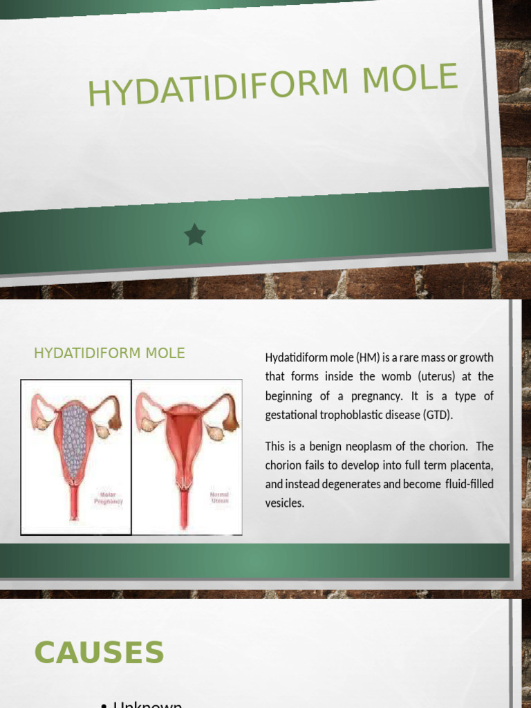 pregnancy | PDF | Reproduction | Diseases And Disorders