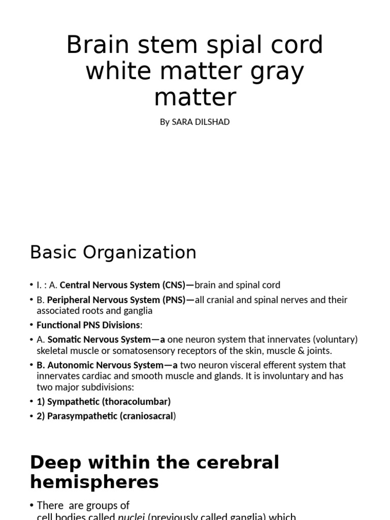 Spinal Cord Description of White Matter Gray Matter Ascending & Descending Tracts | PDF | Spinal ...