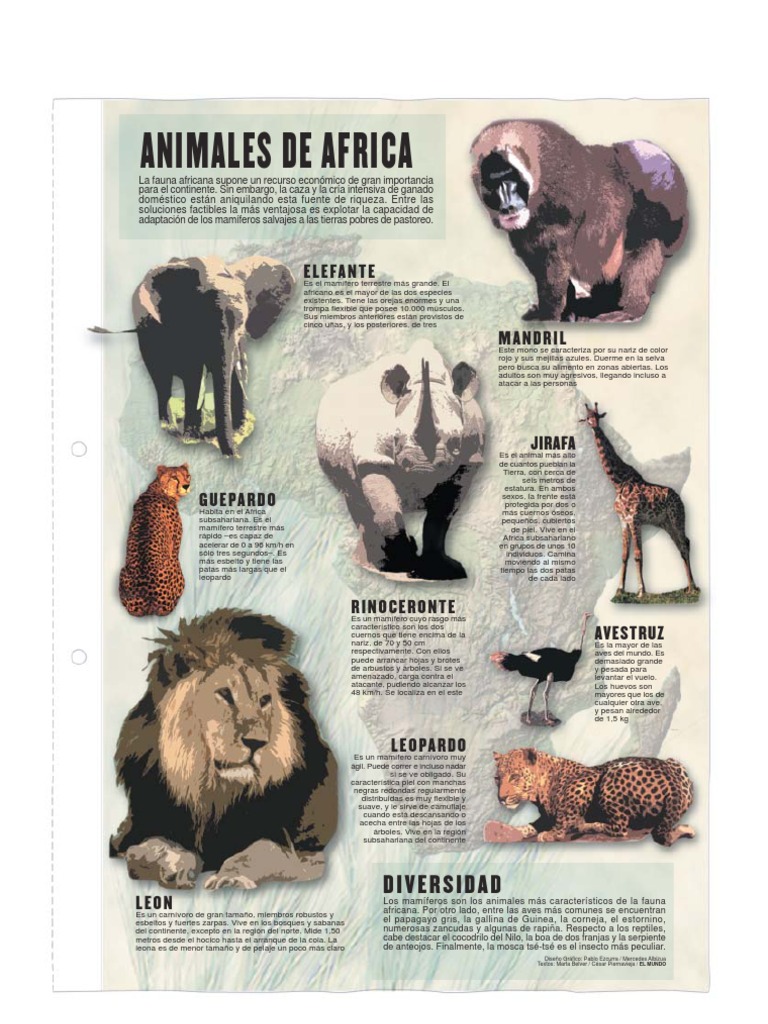 Fauna Africana: Animales Destacados | PDF | Mamíferos | África