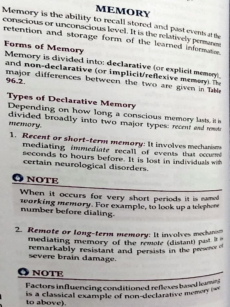 Memory CNS | PDF | Memory | Hippocampus