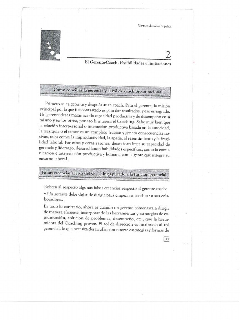 Wolfgang Hoffmann Cap. 2 | PDF