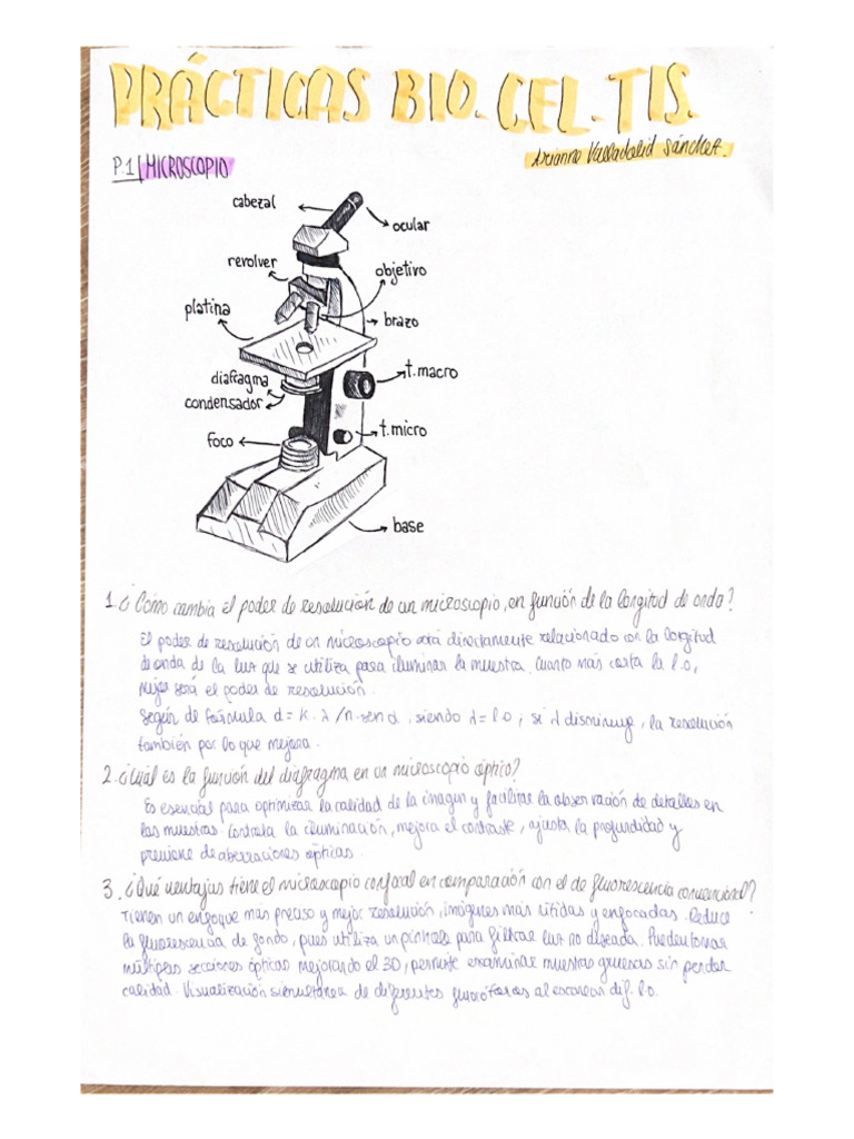 bio.cel.tis.lab | PDF