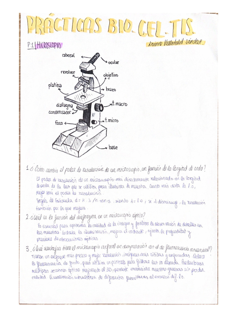 Bio Cel Tis P1 | PDF