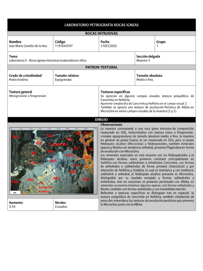 Lab 05 Igneas JMCDLH | PDF