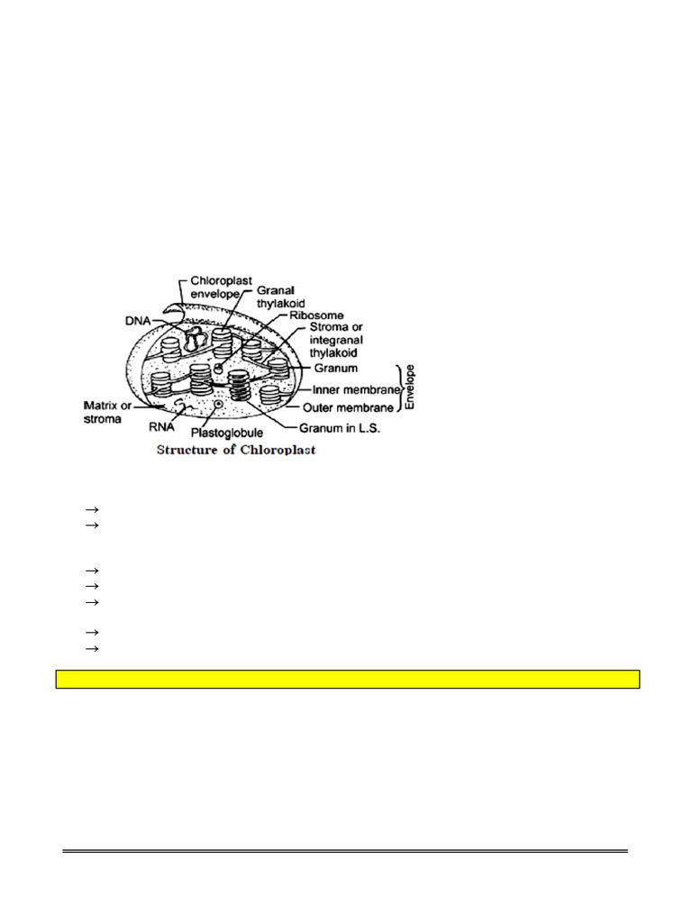 10 BIOLOGY - Day (4) | PDF | Small Intestine | Digestion 10 BIOLOGY - Day (4) | PDF | Small Intestine | Digestion