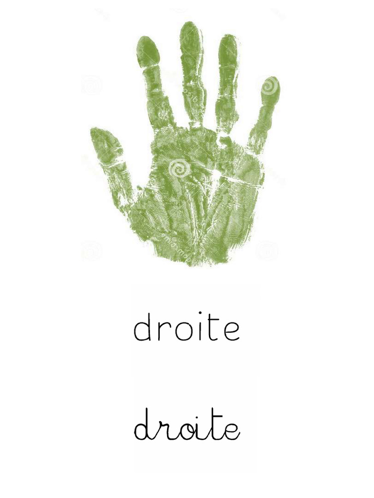 Droite-Gauche Affichage | PDF