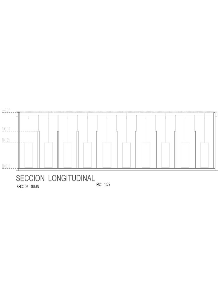 Corte Longitudinal | PDF