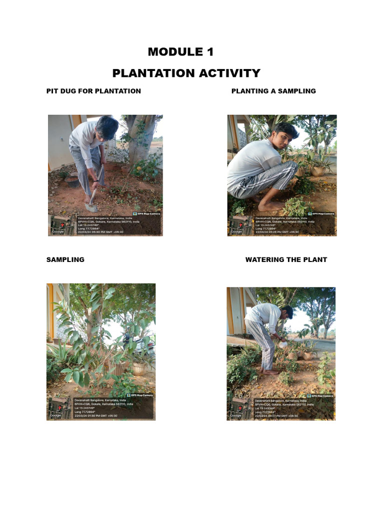 Plantation | PDF