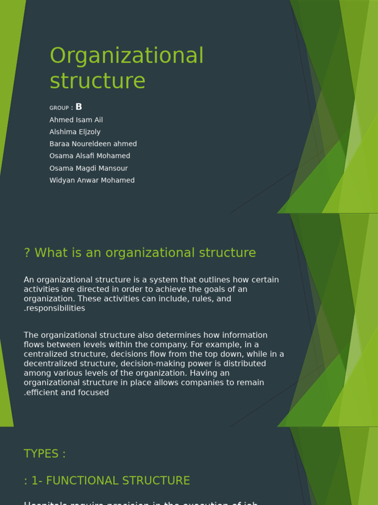 Healthcare Organizational Structures | PDF | Organizational Structure ...