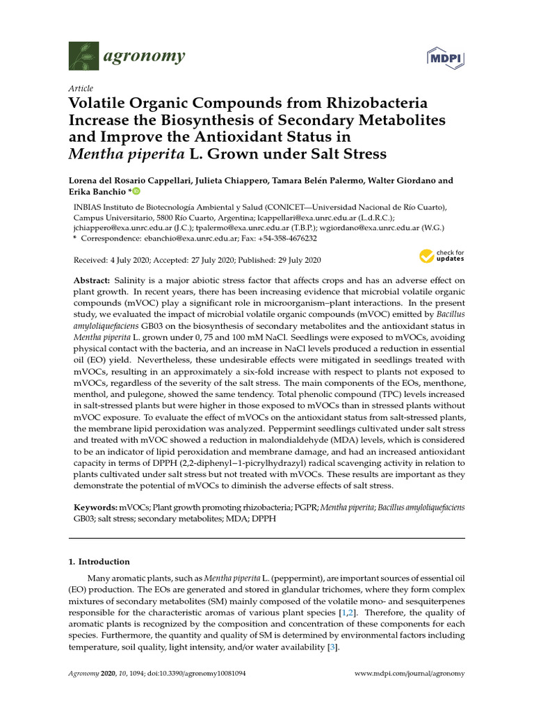 Volatile Organic Compounds From Rhizobacteria Increase The Biosynthesis Of Secondary Metabolites